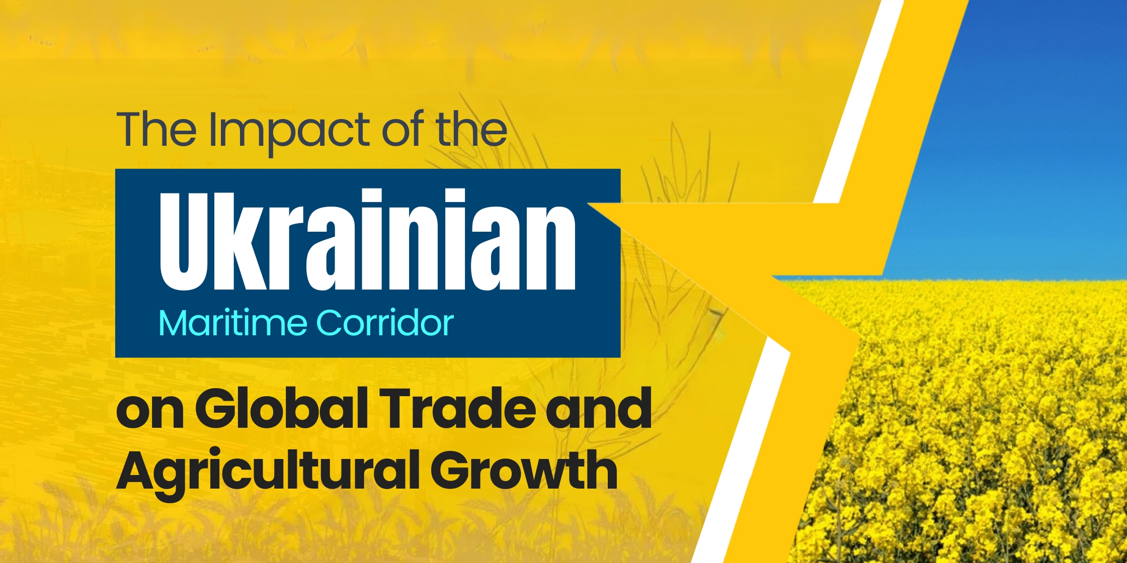 The Impact of the Ukrainian Maritime Corridor on Global Trade and ...